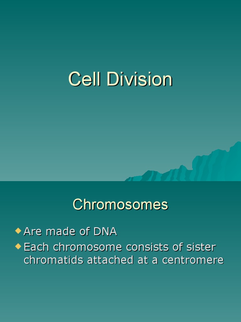 Bio Cell Division 100106220037 Phpapp01 | PDF | Mitosis | Cell Cycle