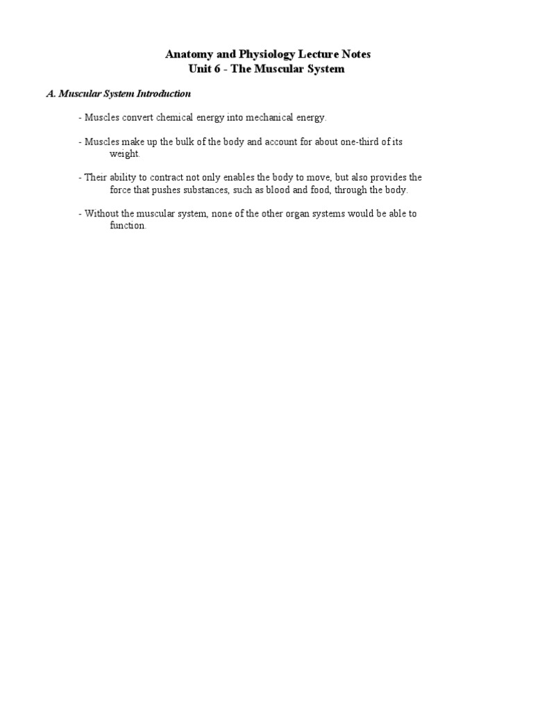 Anatomy And Physiology Lecture Notes Unit 6 The Muscular System Pdf