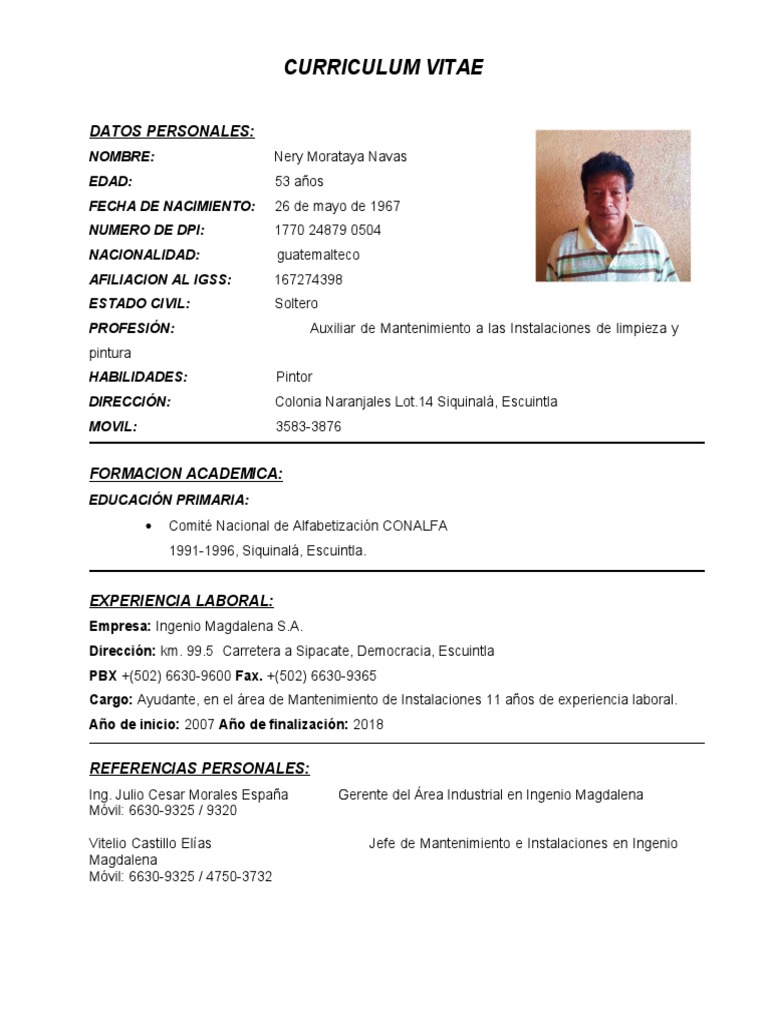 Curriculum Vitae Nery | PDF