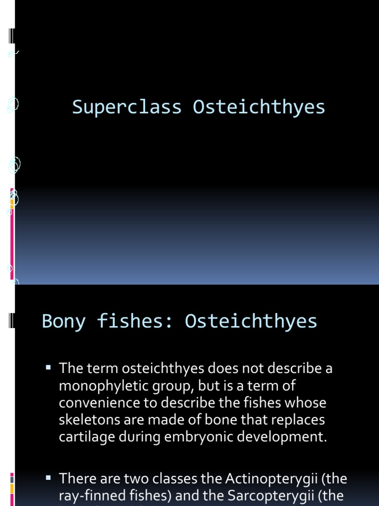 Anatomy, Characteristics, Evolution, and Classification of Bony Fishes ...
