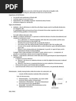 Mitosis Mover Webquest Bioman PDF | PDF | Mitosis | Chromosome