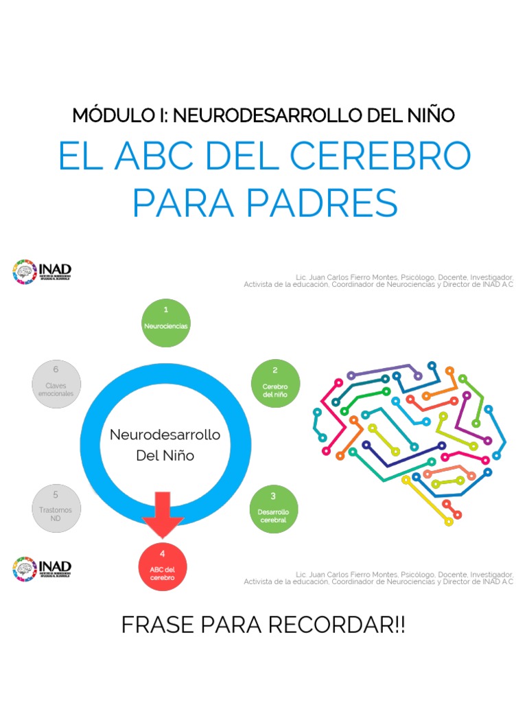 1.4 ABC Del Cerebro para Padres | PDF | Hemisferio cerebral | Cerebro