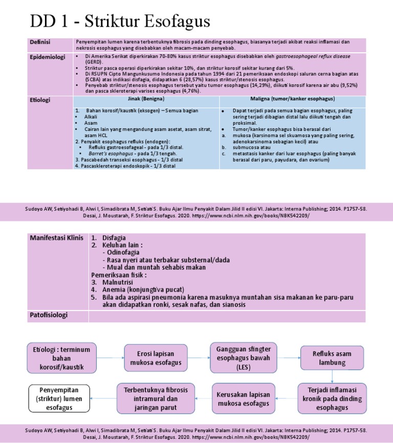PBL M1S2 - DD 1 Striktur Esofagus | PDF