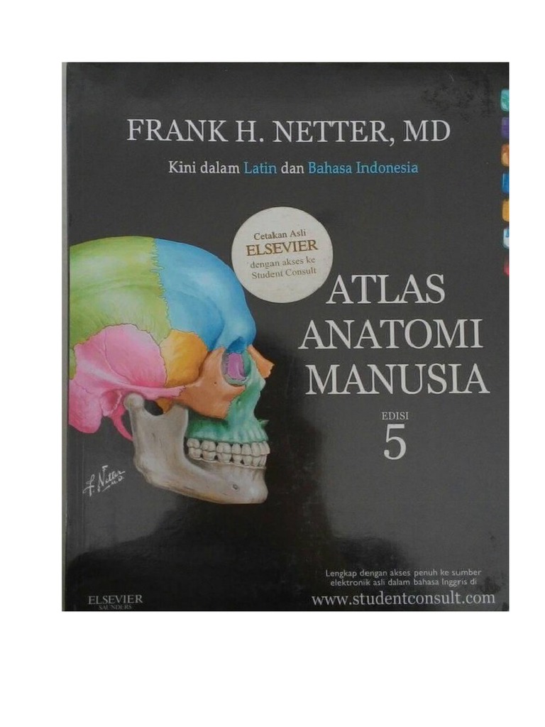 11 Anatomi Nether | PDF