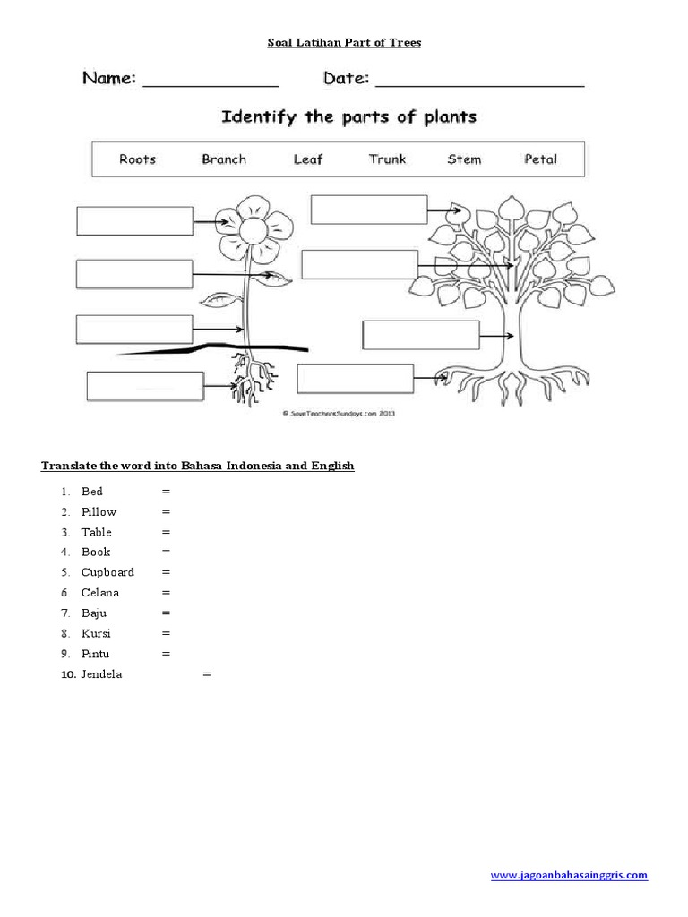 Soal Latihan Part of Trees | PDF