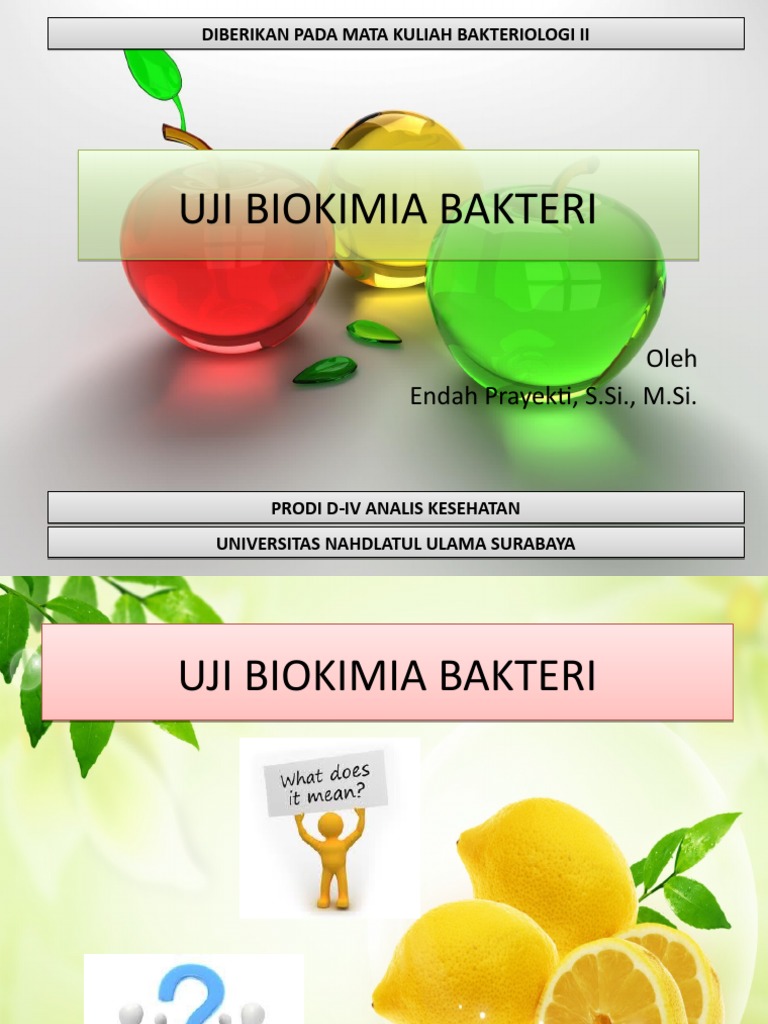 3&4. Uji Biokimia Bakteri | PDF