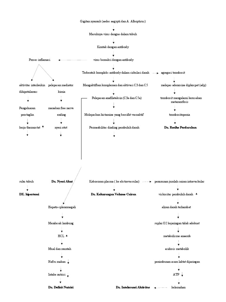 PATHWAY | PDF
