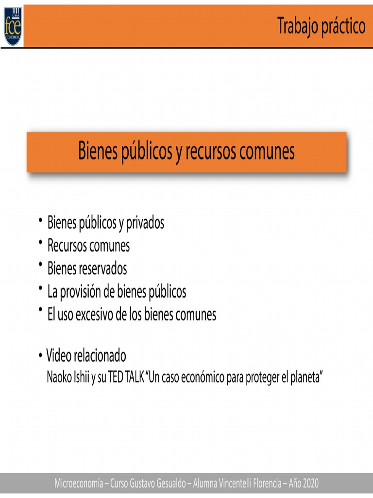 TP Bienes Públicos y Recursos Comunes - Vincentelli | PDF | Bienes | Microeconomía