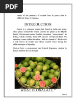 Class 12th Chemistry Project On Investigatory Test On Guava | PDF ...