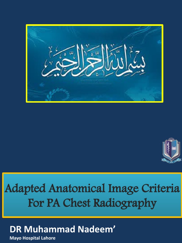 Adapted Anatomical Image Criteria For PA Chest Radiography | PDF ...