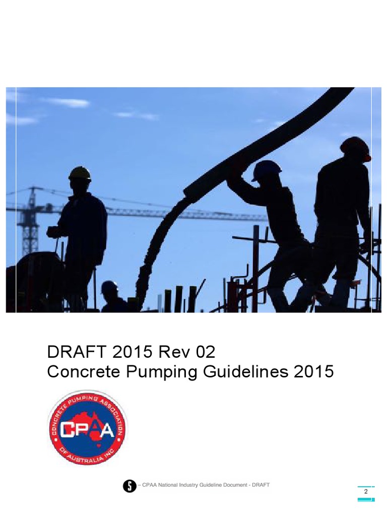 CPAA Draft Guidelines v2 | PDF | Risk Assessment | Risk