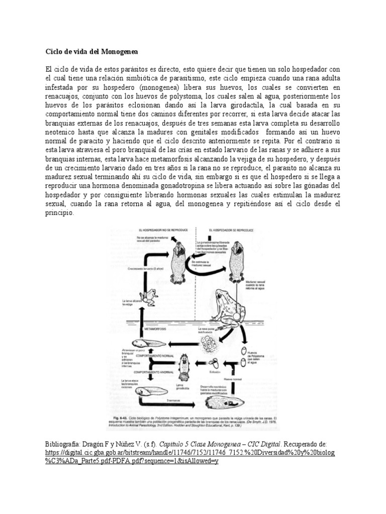 Ciclo de Vida Del Monogenea | PDF