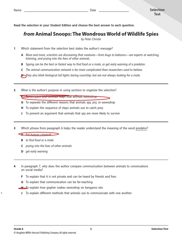 From Animal Snoops: The Wondrous World of Wildlife Spies: by Peter ...