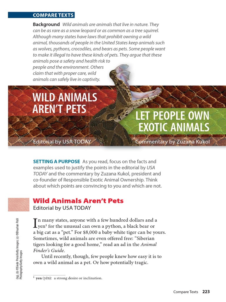 Wild Animals Aren'T Pets Let People Own Exotic Animals | Download Free ...