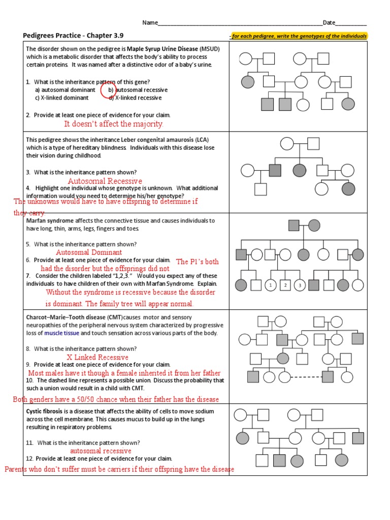 Miranda Kibbe - Chapter 3 Pedigree Practice | PDF | Dominance (Genetics ...