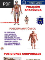 Términos de Lateralidad en Anatomía | PDF | Términos anatómicos de ...
