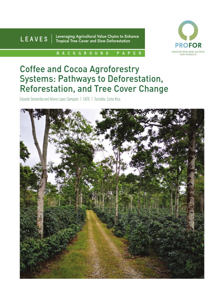 Coffee - Case Study - LEAVES - 2018 | PDF | Cocoa Bean | Deforestation