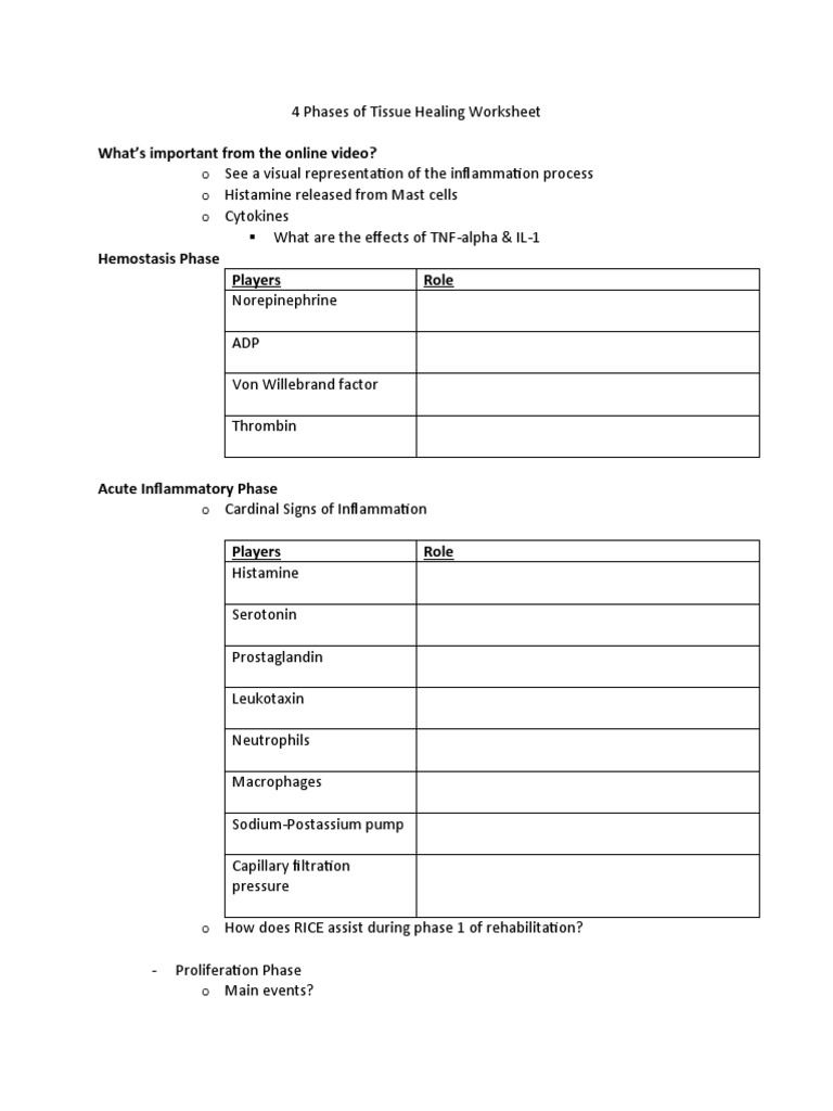 377 Tissue Healing Worksheet | PDF