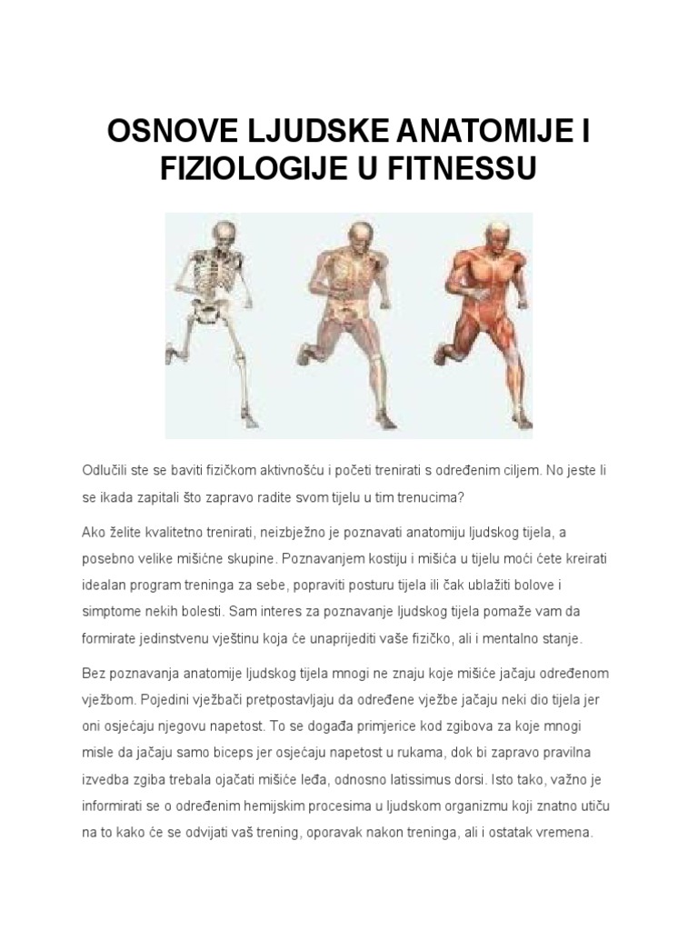 OSNOVE LJUDSKE ANATOMIJE I FIZIOLOGIJE U FITNESSU - Rukomet Lekcija 6 (Udarac U Napadu) | PDF
