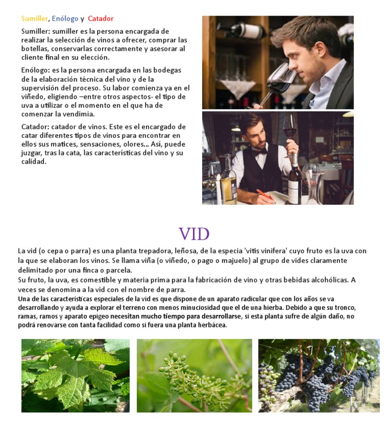 Joseph Yepes, Trabajo de Cocteleria | PDF | Cocina, comidas y vino