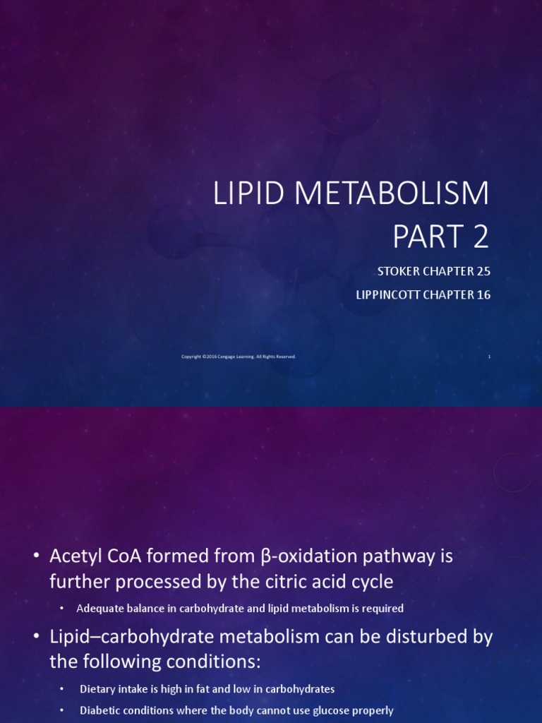 Lipid Metabolism: Stoker Chapter 25 Lippincott Chapter 16 | PDF ...
