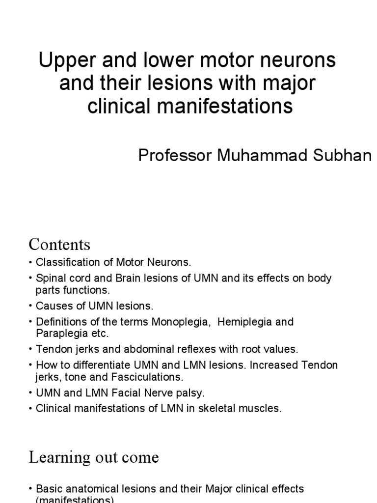 Upper and Lower Motor Neuron | PDF | Peripheral Neuropathy | Spinal Cord