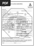 Emblemas Guias Mayores | PDF | Bandera | Los símbolos