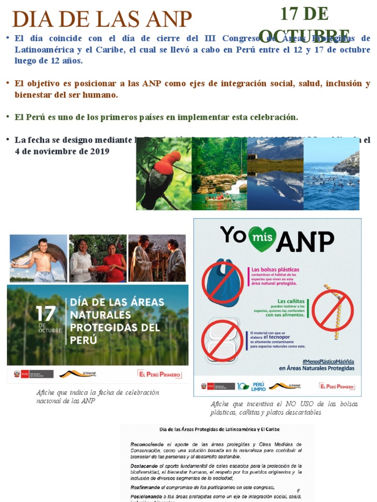 Dia de Las Anp | PDF