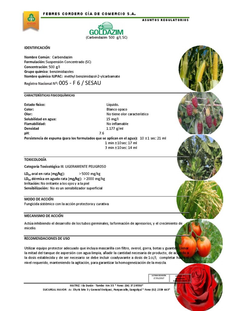 Goldazim FT Sesau | PDF | Cocina vegana | Plantas comestibles