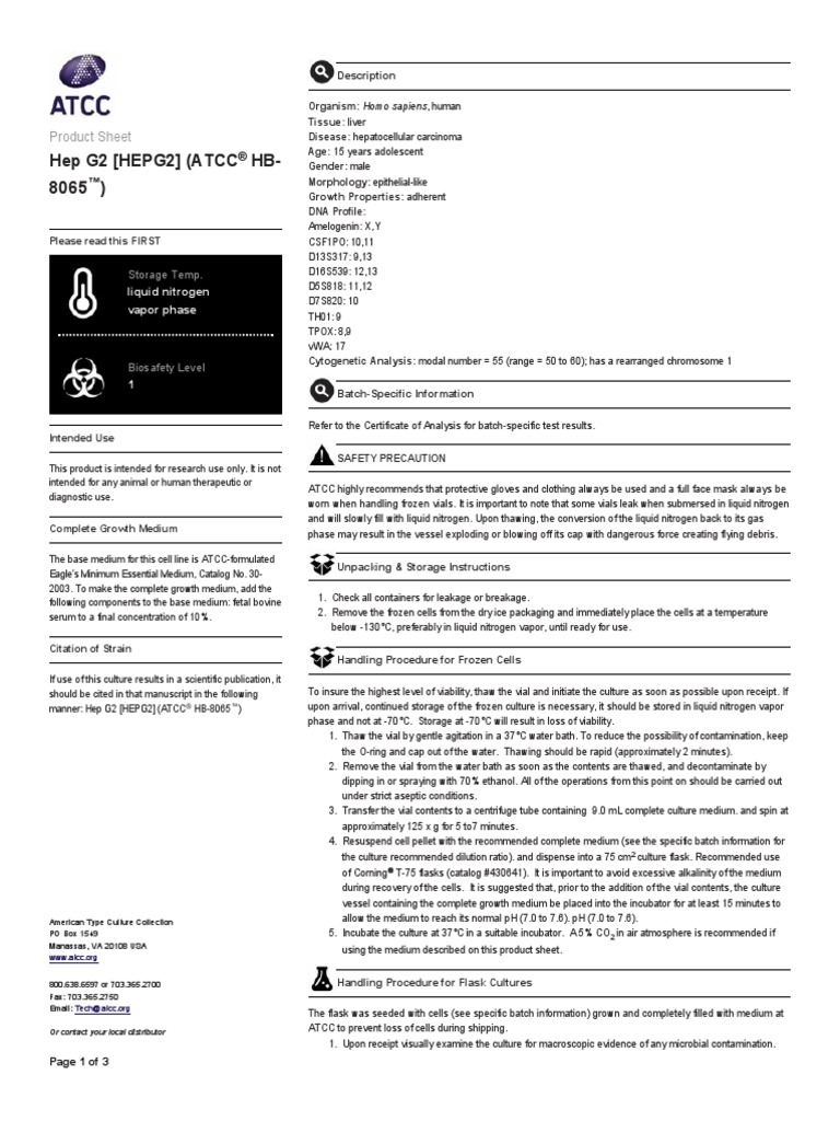 Hep G2 (HEPG2) (ATCC HB 8065) : Product Sheet | PDF | Atcc (Company ...