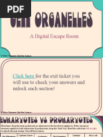 1.1.9 The Cell Structure and Functions | PDF | Cell Nucleus ...