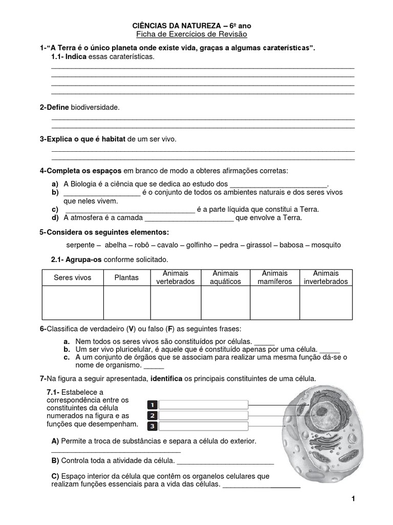 Fichas de Exercícios de Revisão - C. Nat | PDF | Raiz | Flores