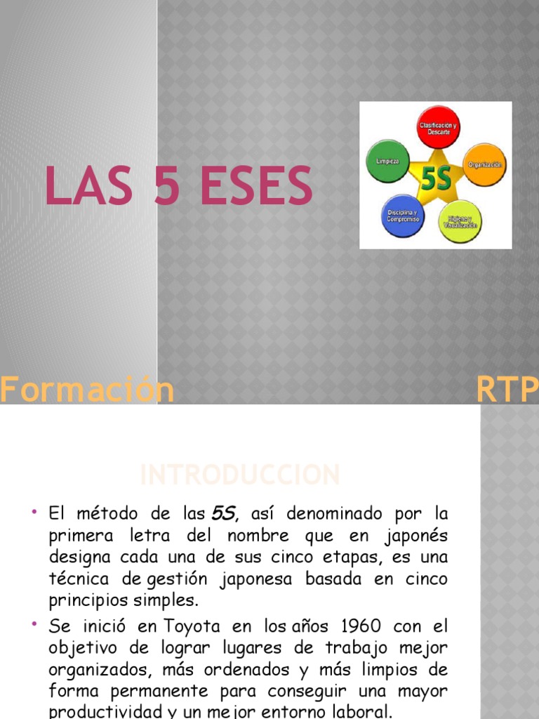 Las 5 Eses: Formación RTP | PDF | Business | Science