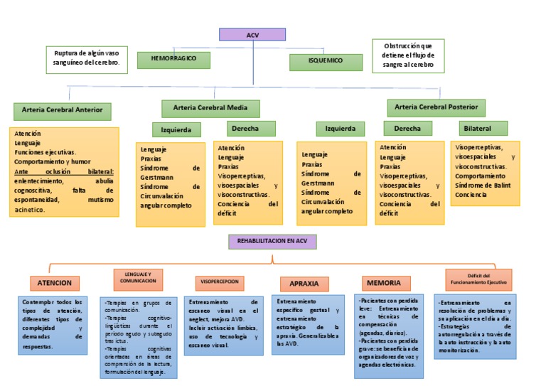 Mapa ACV | PDF | Carrera | Memoria