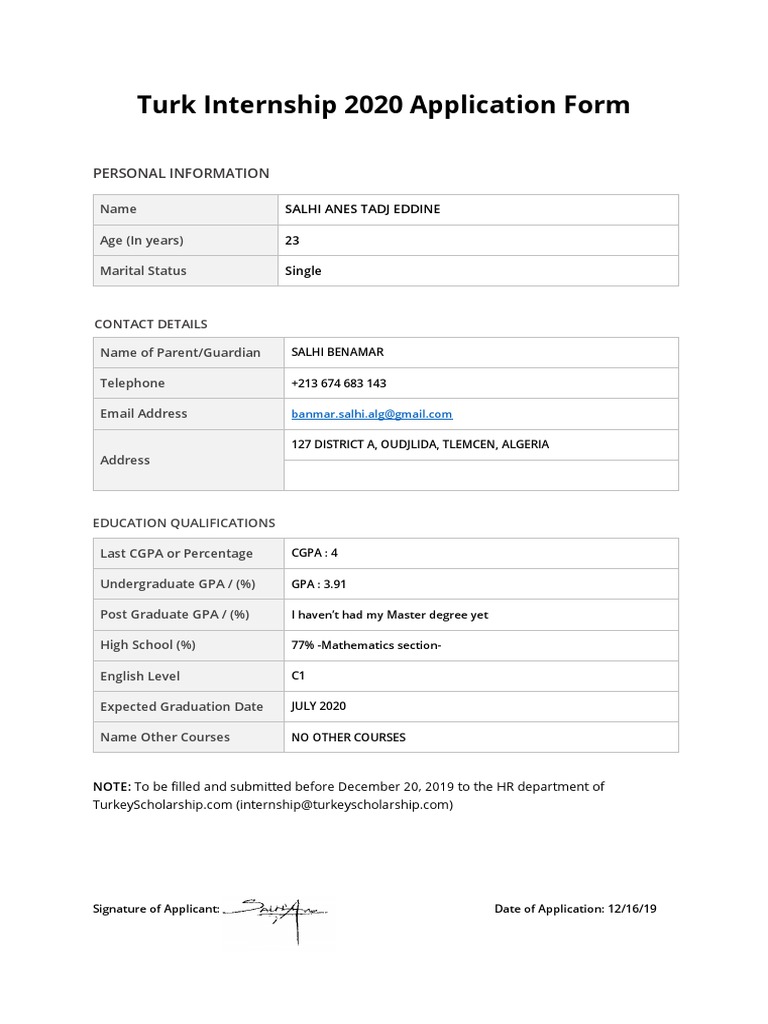 Turk Internship Application Form | PDF