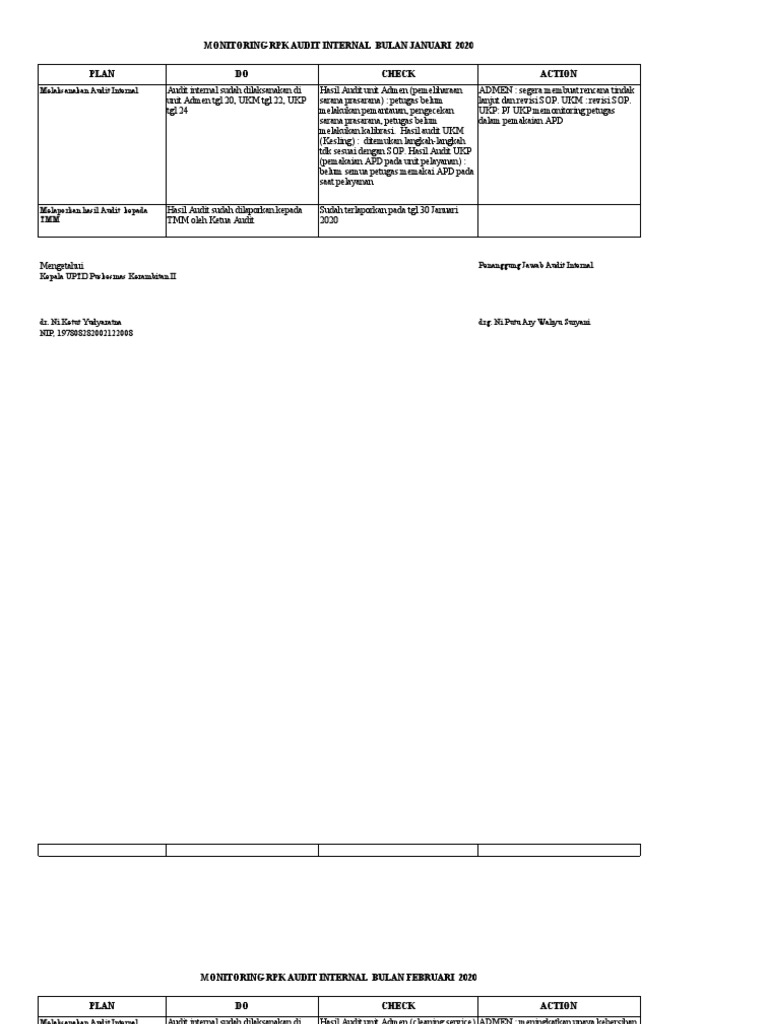 PDCA Audit 2020 | PDF