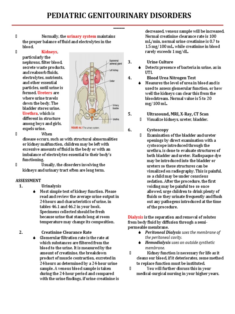 Pediatric Genitourinary Disorders: A Comprehensive Review of Common ...