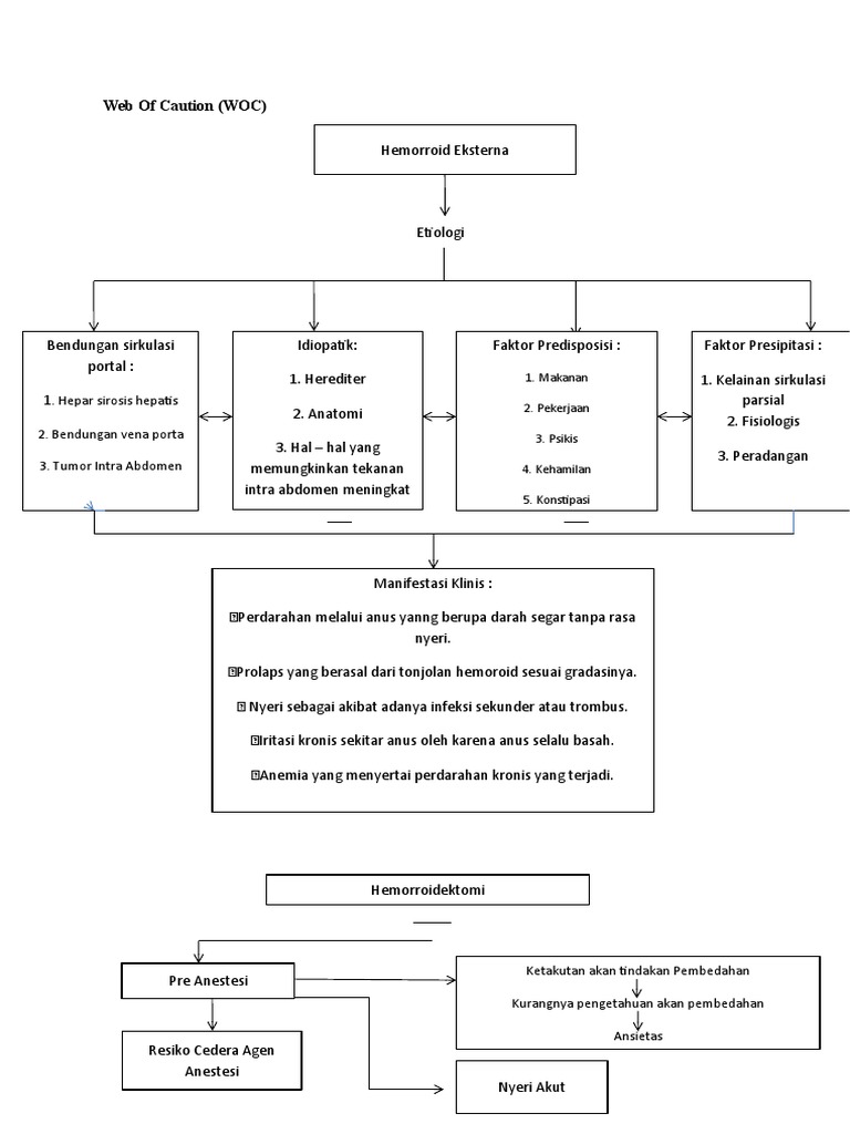 Contoh Web of Caution Keperawatan Anestesiologi | PDF