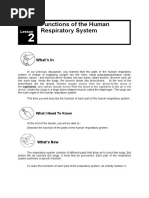 Activity Worksheet.9 Science | PDF | Respiratory Tract | Respiratory System