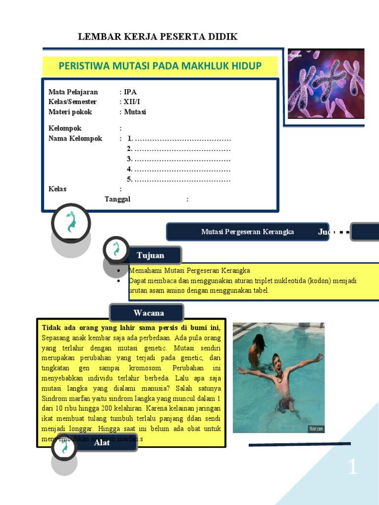 LKPD Mutasi 1 | PDF