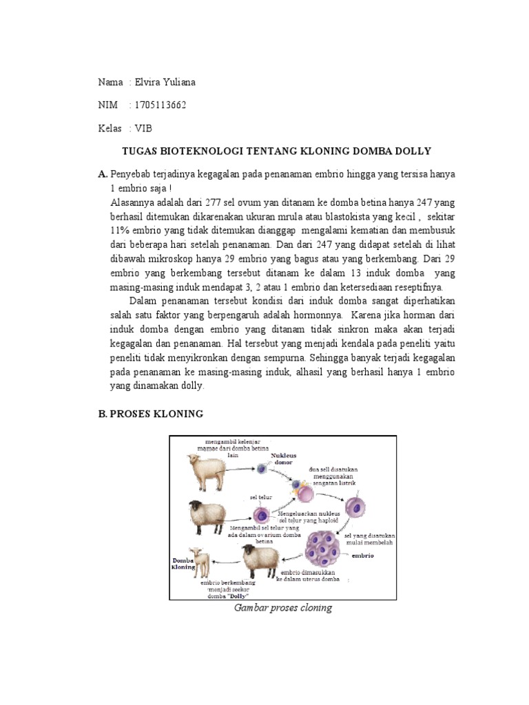 Proses Kloning Domba Dolly secara Detail | PDF
