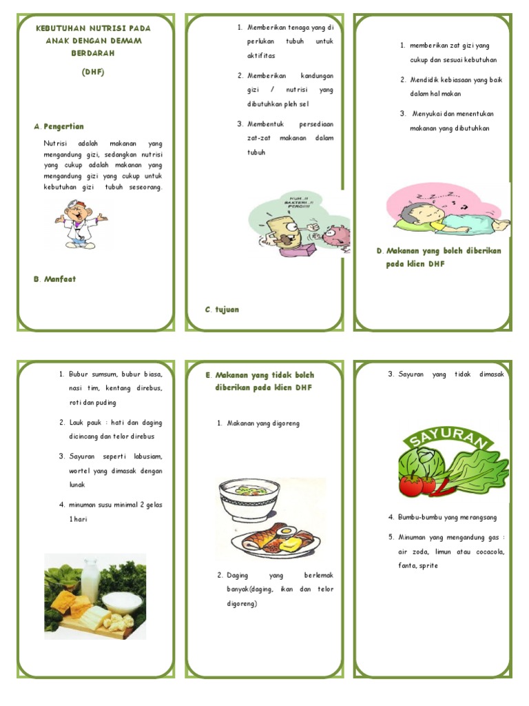 Leaflet Nutrisi DHF | PDF
