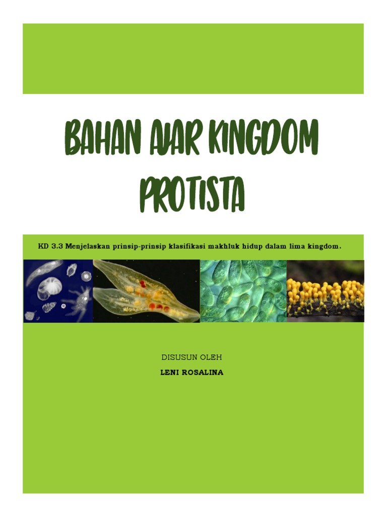 KINGDOM PROTISTA | PDF