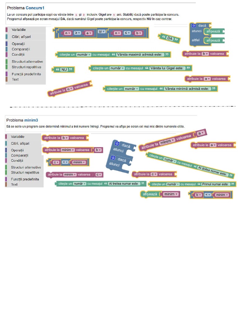 Probleme Pbinfo Blockly Test | PDF