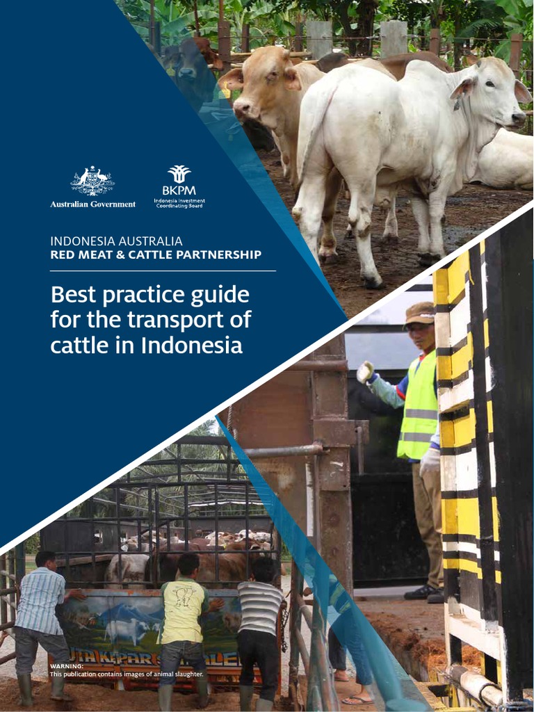 Vh7jo Best Practice Guide For The Transport of Cattle in Indonesia ...
