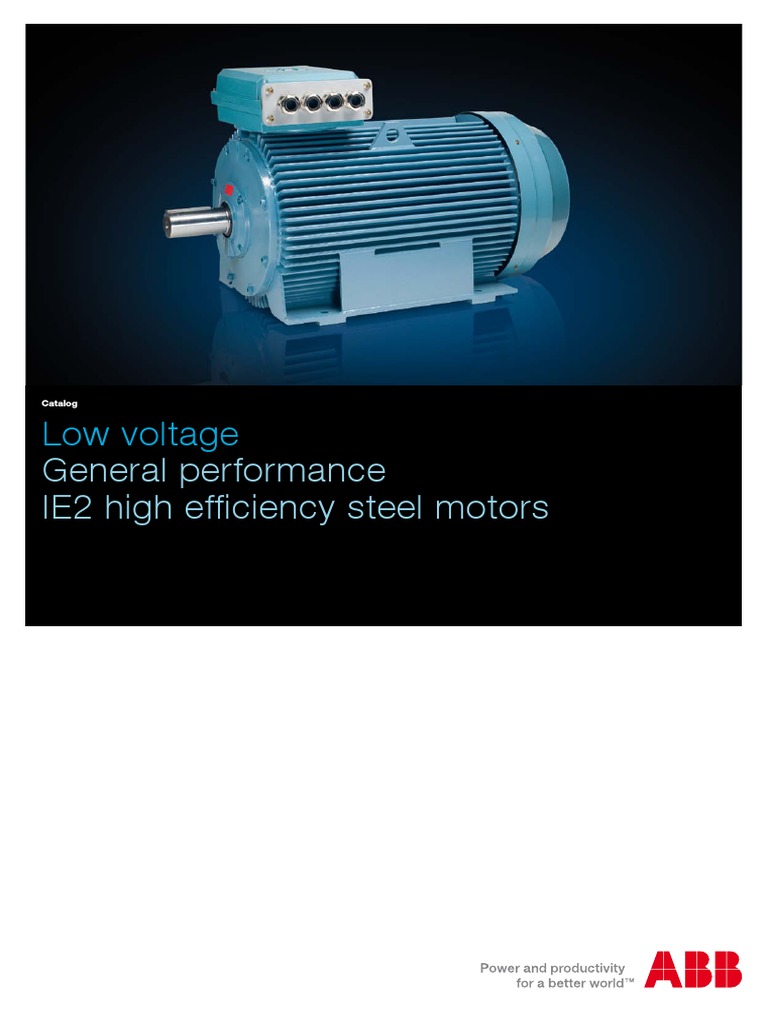 Low Voltage General Performance IE2 High Efficiency Steel Motors EN 06 ...