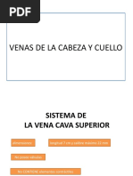 Anatomía del Seno Cavernoso | PDF | Anatomía humana | Cabeza y cuello ...