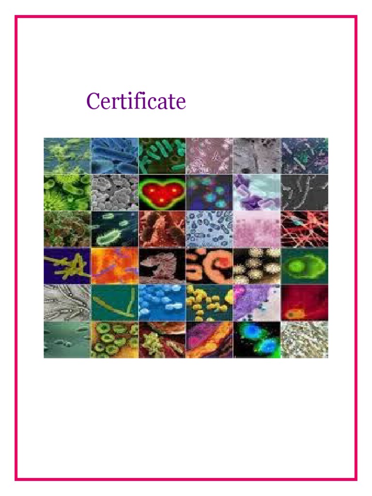 Microbes Biology Project | PDF | Anaerobic Digestion | Sewage Treatment