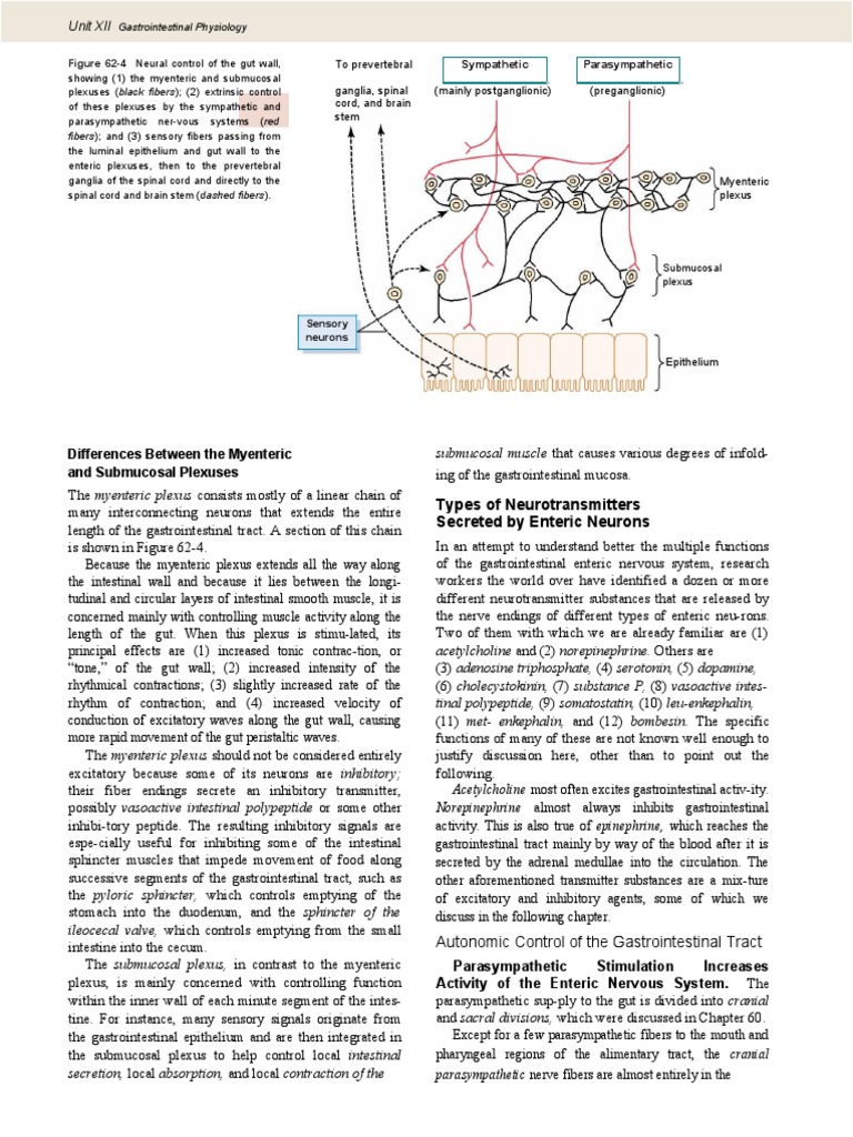 Differences Between The Myenteric and Submucosal Plexuses: Figure 62-4 ...