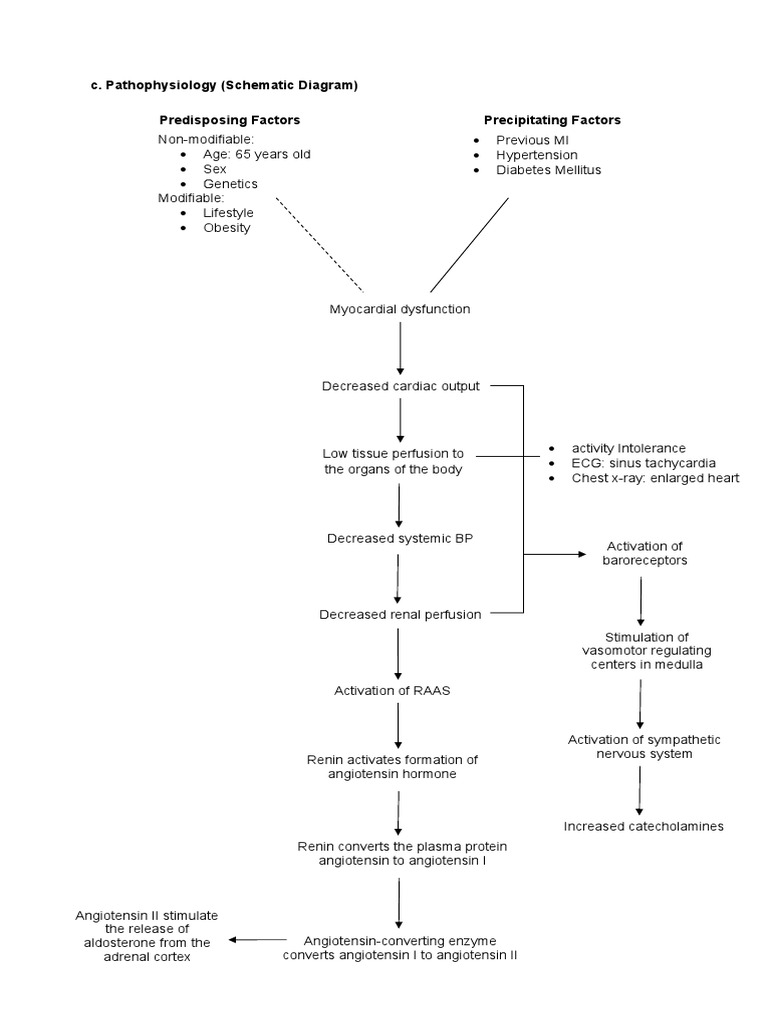 C. Pathophysiology (Schematic Diagram) Predisposing Factors ...
